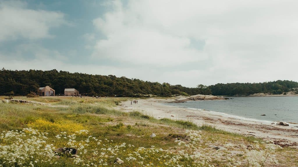 Kirkøy – Explore Nature, History and Harbour Life